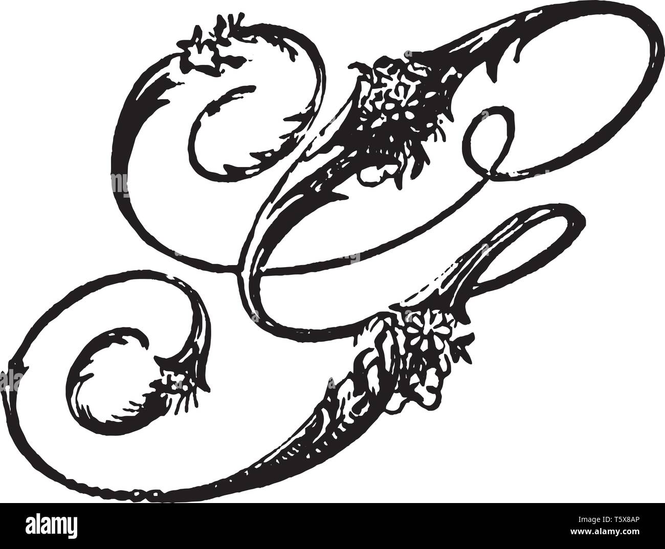 A letter G in ornamental script, vintage line drawing or engraving ...