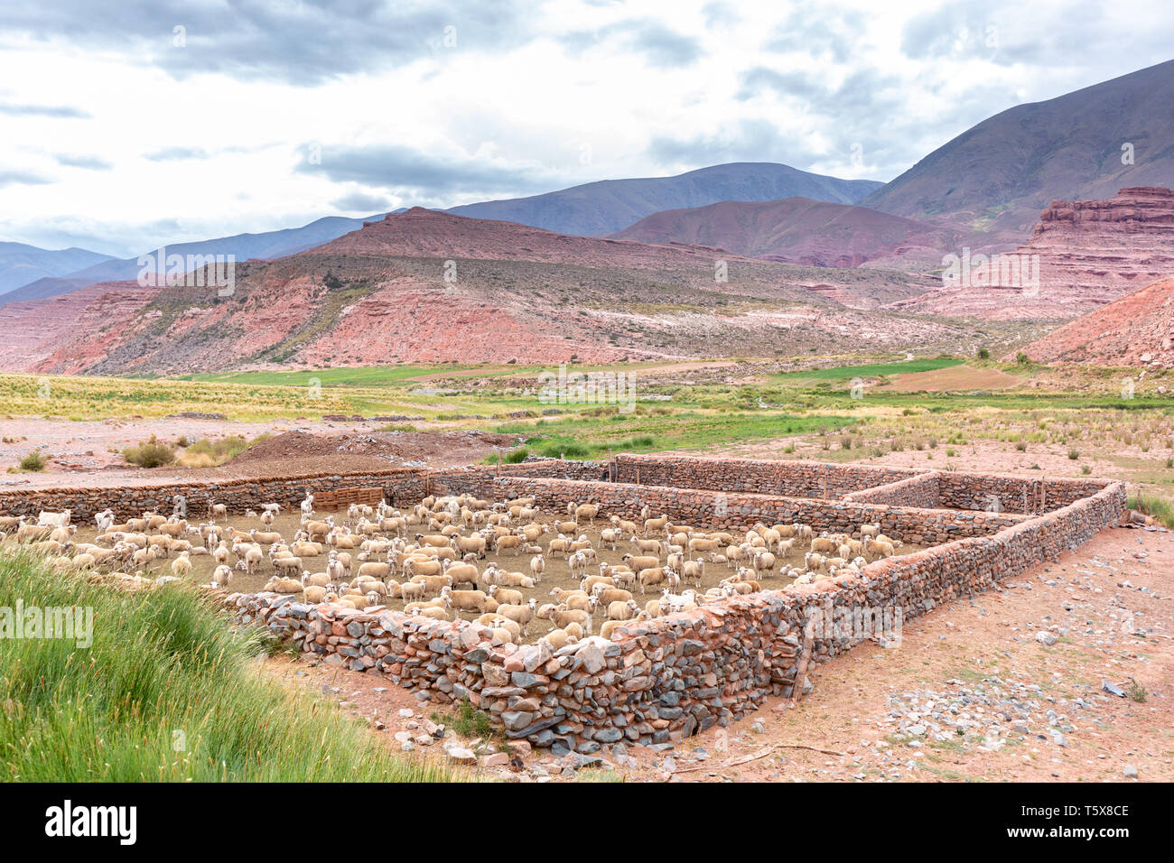 Stone sheep pen hi-res stock photography and images - Alamy