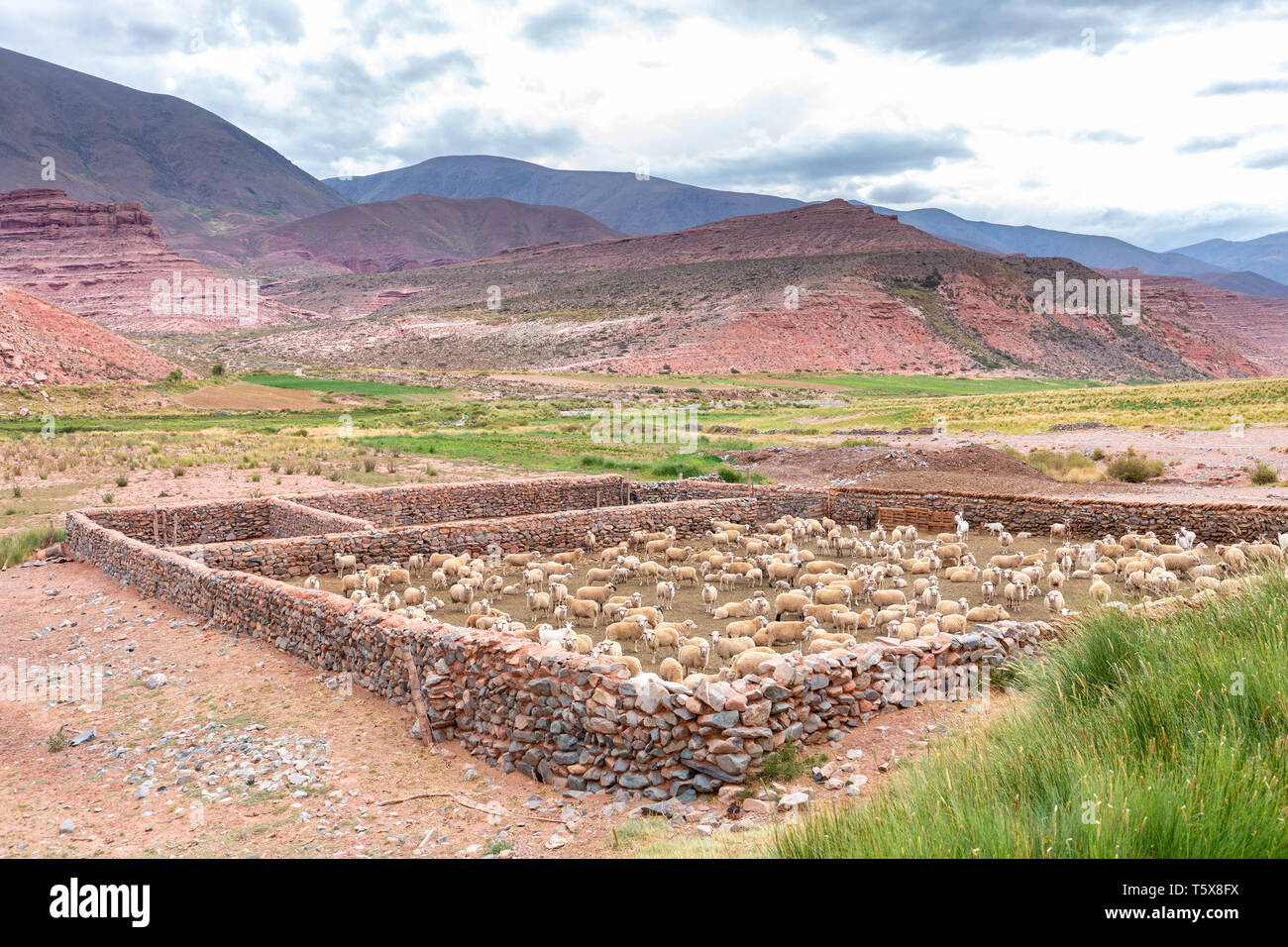 Stone sheep pen hi-res stock photography and images - Alamy