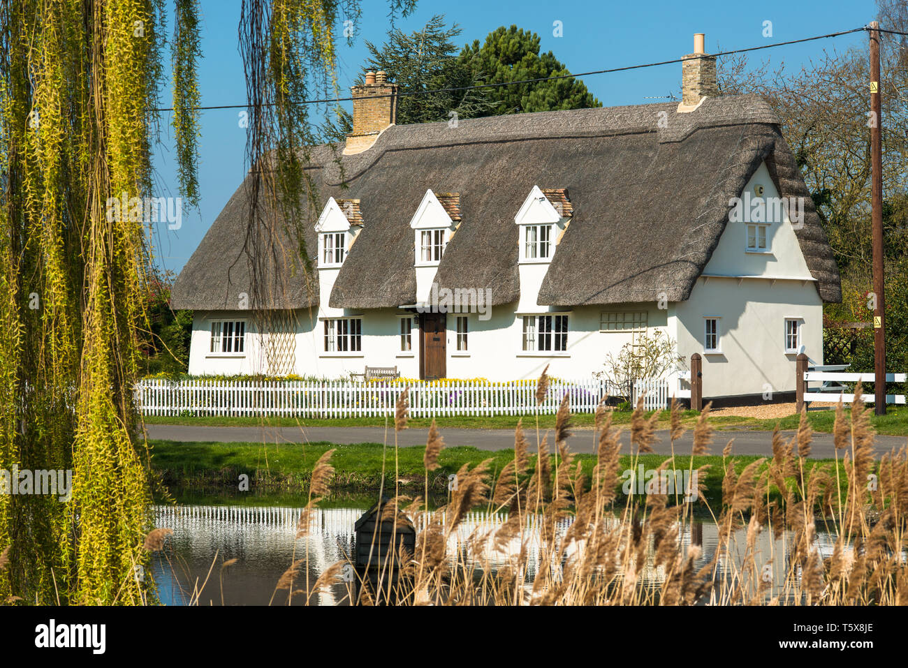 Characterful thatched cottage opposite the green in Wicken Village ...