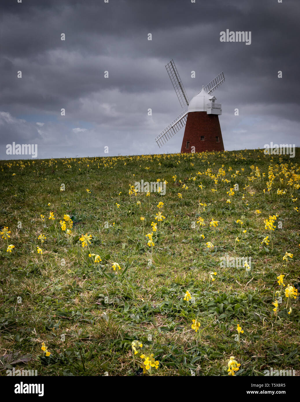 English windmill hi-res stock photography and images - Alamy