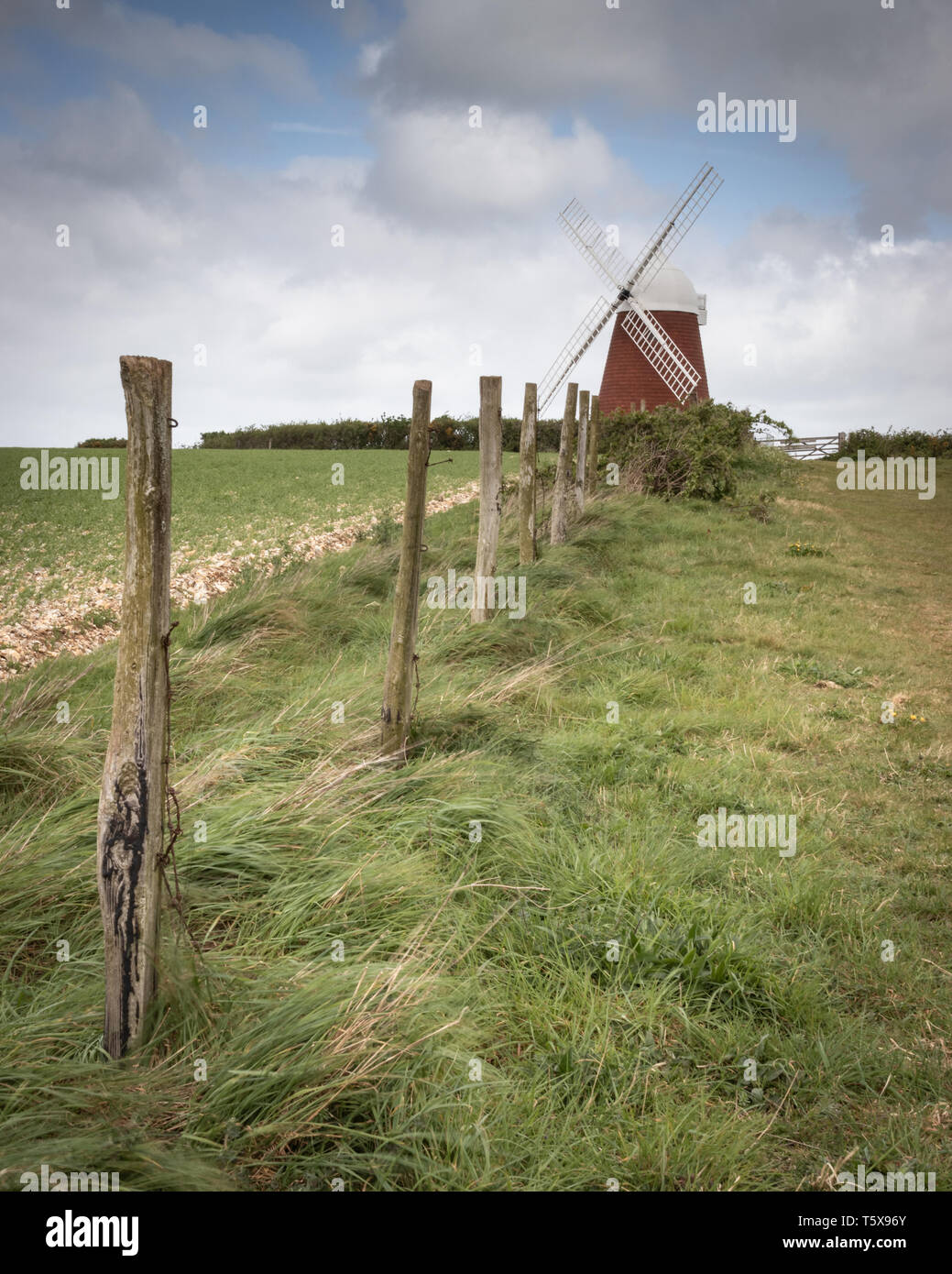 Halnaker Windmill High Resolution Stock Photography and Images - Alamy
