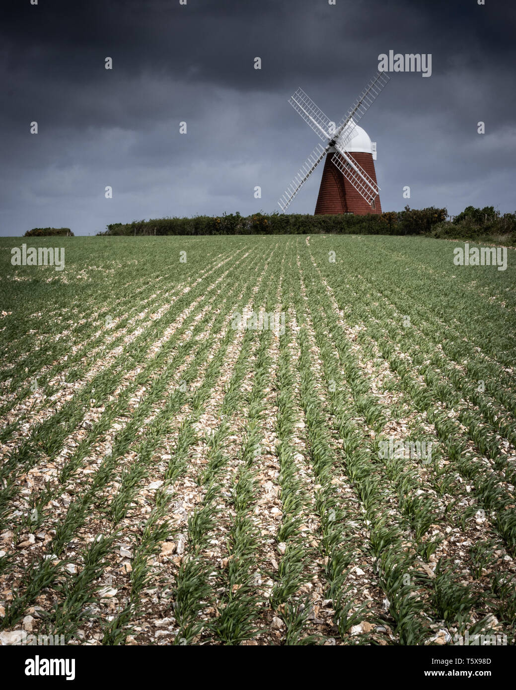 English windmill hi-res stock photography and images - Alamy