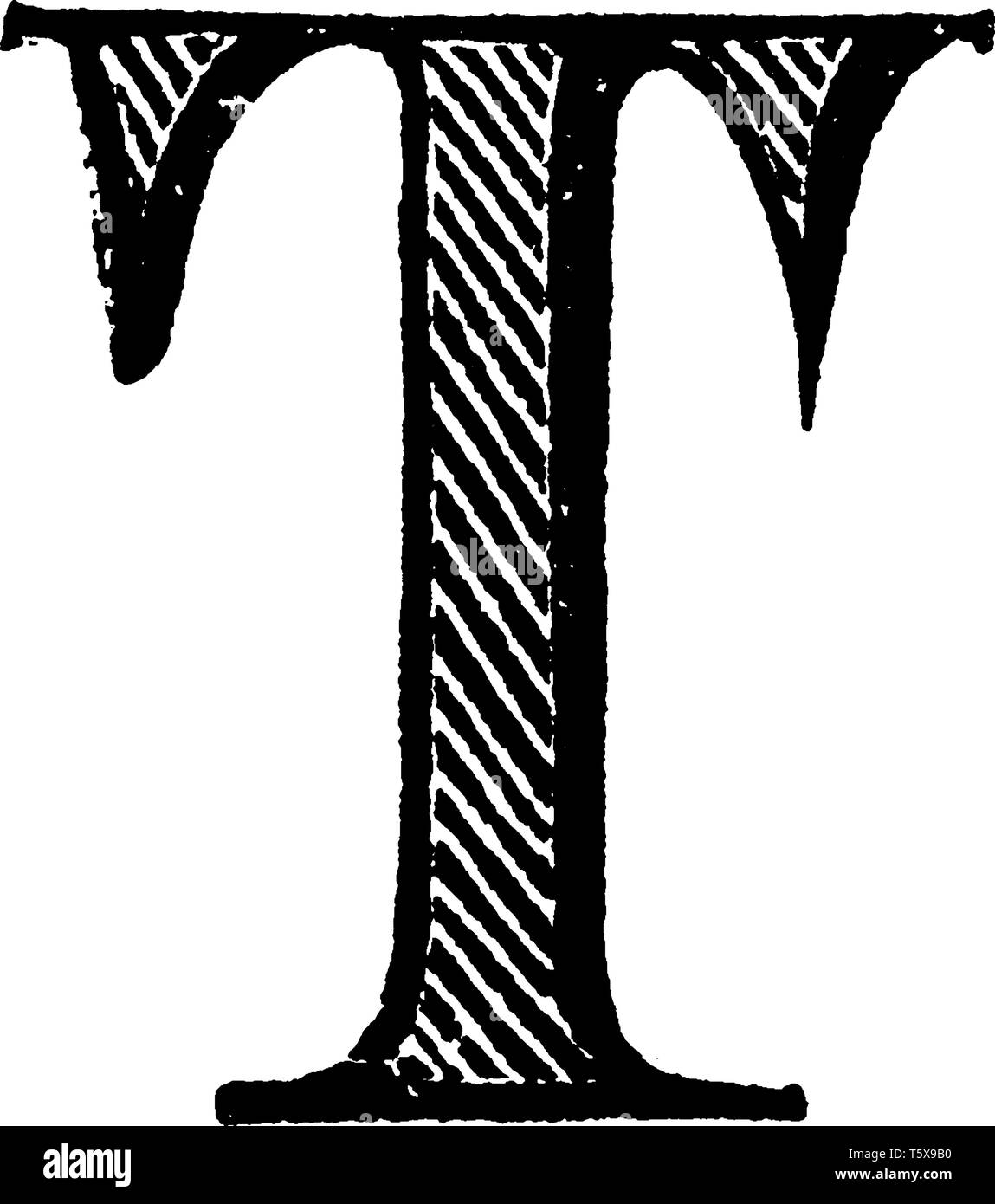 A decorative letter T with crossed lines, vintage line drawing or ...