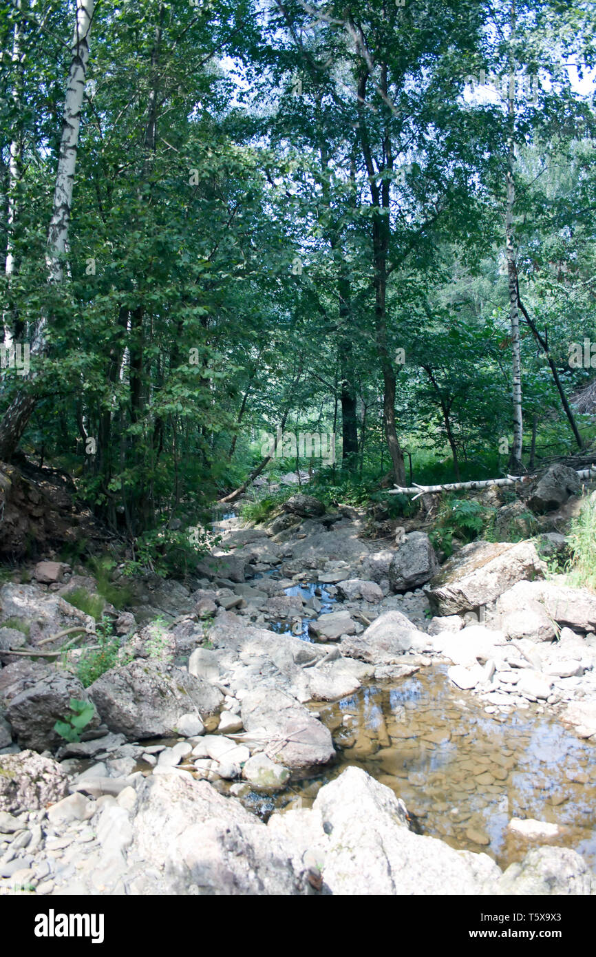Mountain brook in wild summer forest. Stones and water Stock Photo - Alamy