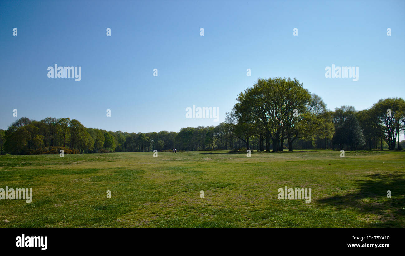 Chess Valley Walk Stock Photos & Chess Valley Walk Stock Images - Alamy