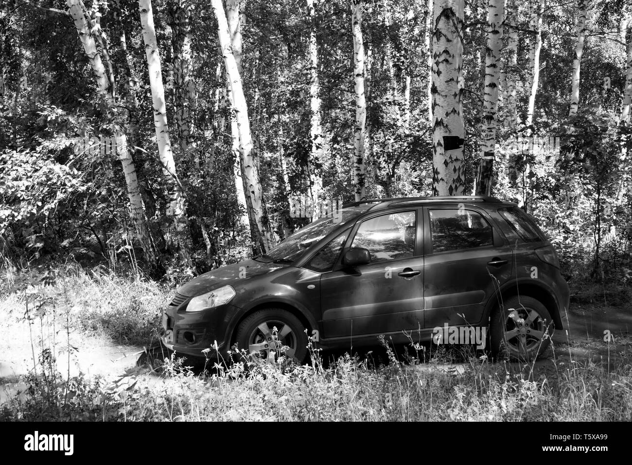 Blue car travel in green summer forest. Black and white photo Stock ...