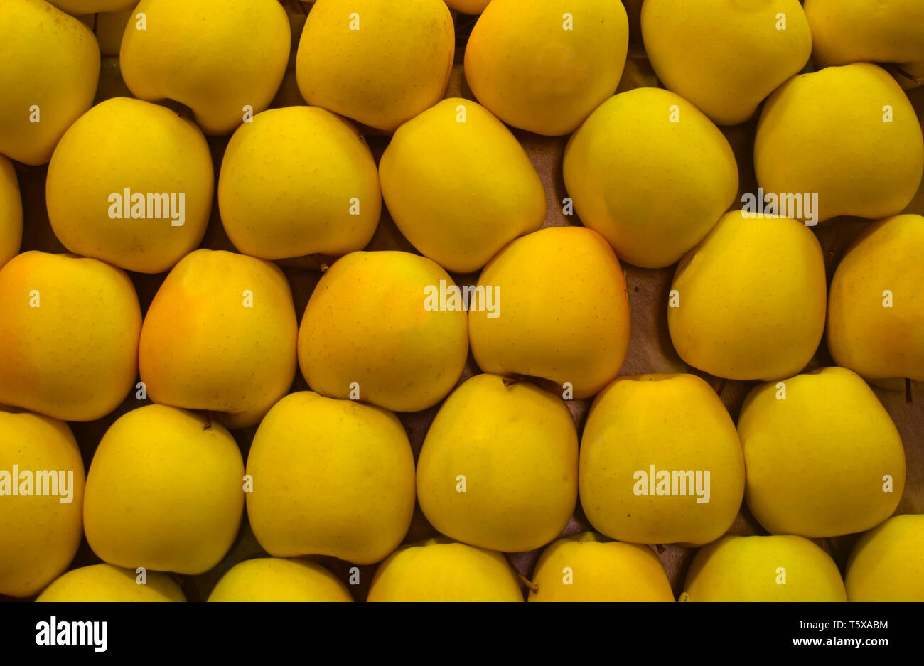 Fresh and natural apple Stock Photo - Alamy