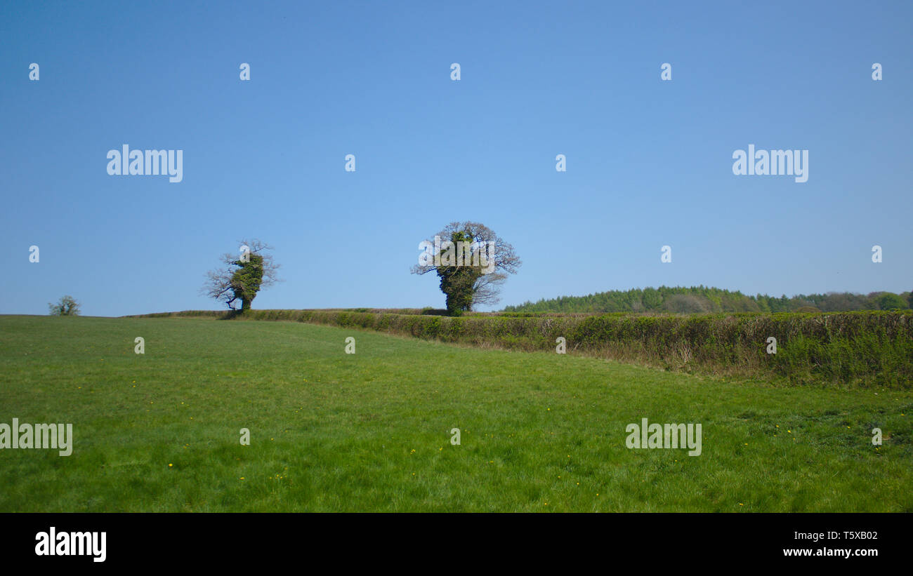 Chess Valley Walk Stock Photos & Chess Valley Walk Stock Images - Alamy