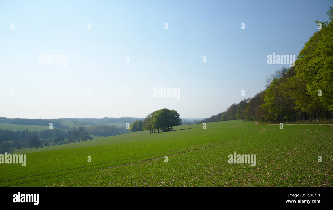 Chess Valley Chiltern Hills Stock Photo - Alamy