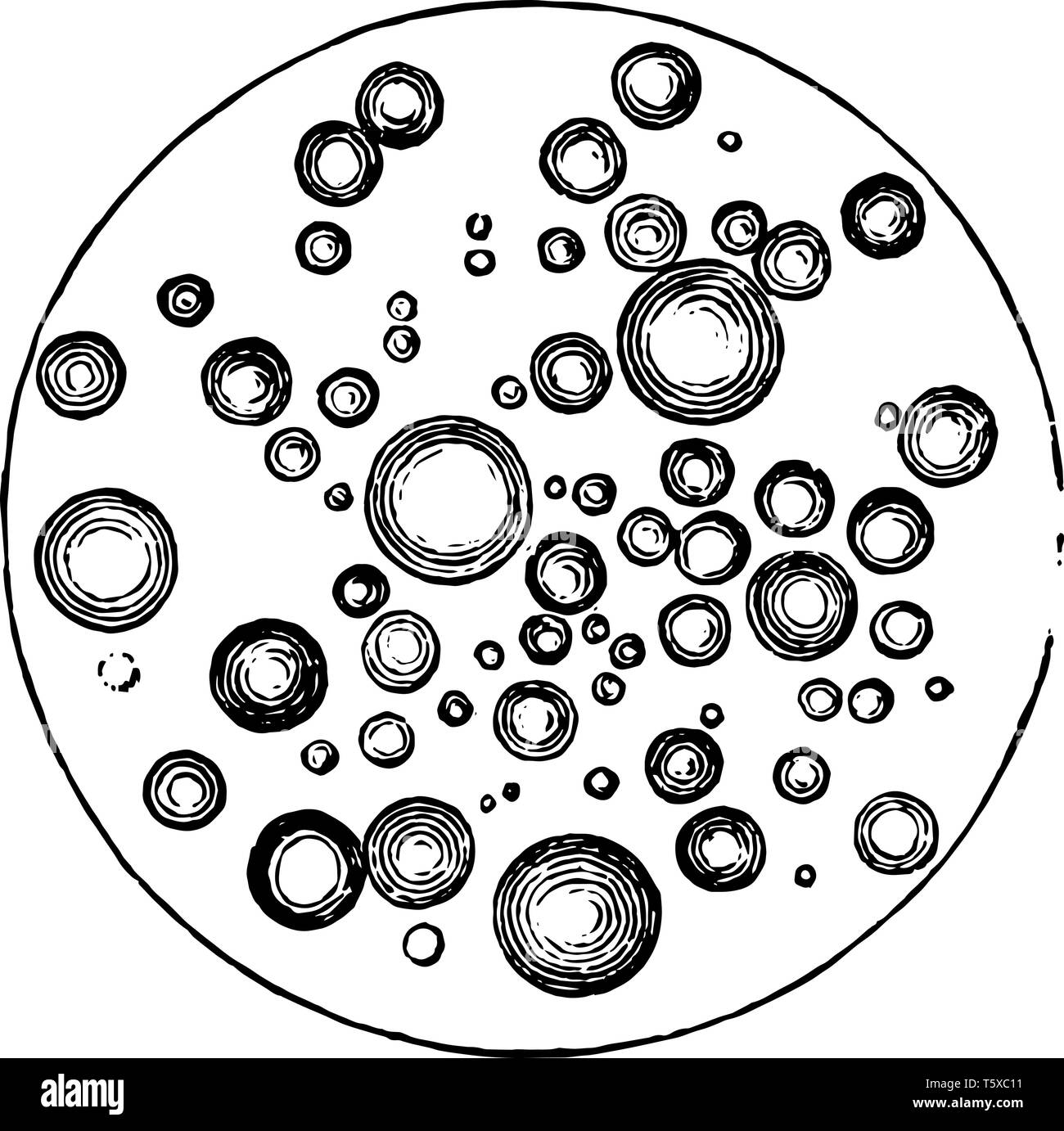 An illustration of a drop of milk showing fatglobules highly magnified ...