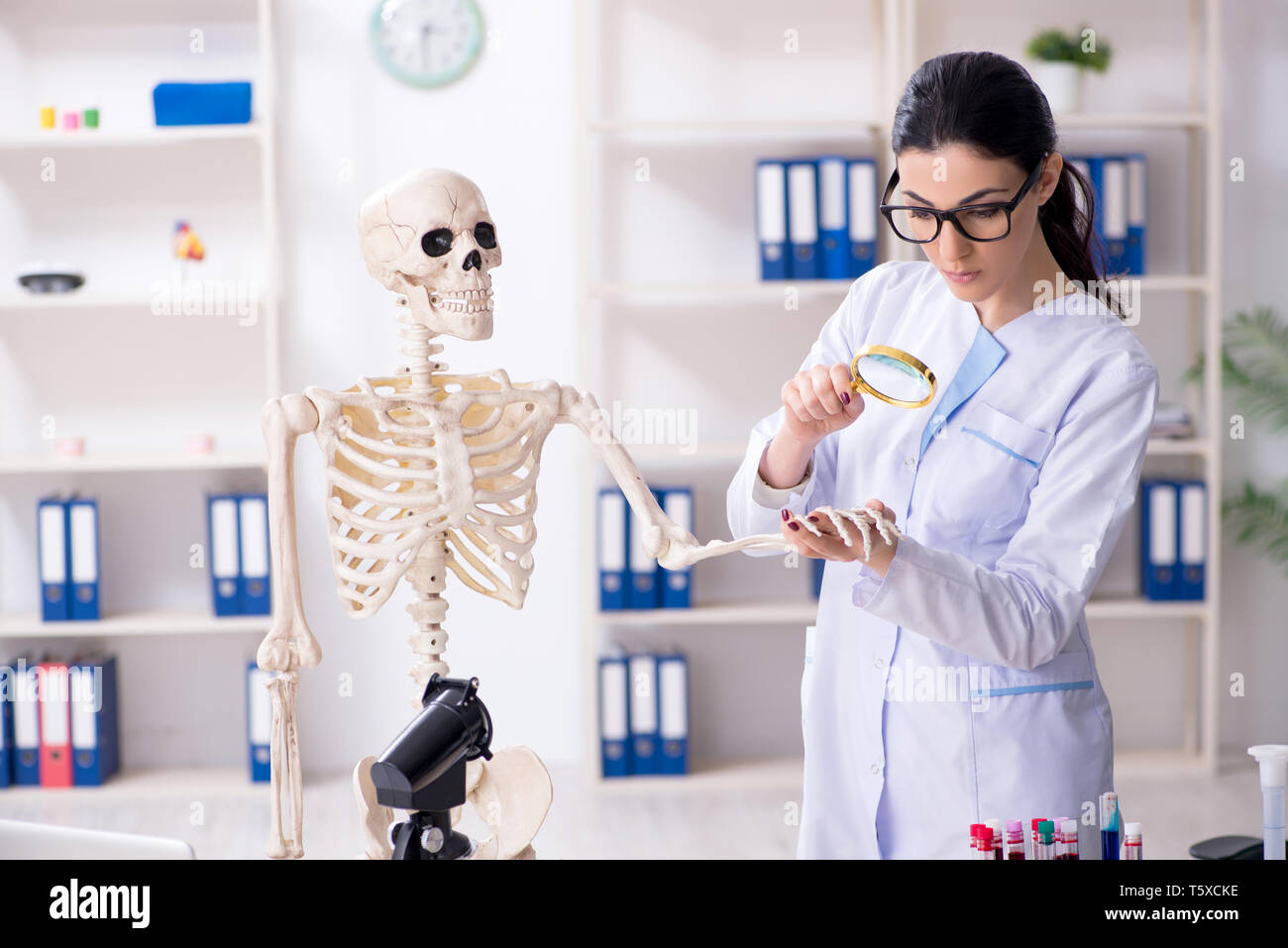 Young female archaeologist working in the lab Stock Photo - Alamy
