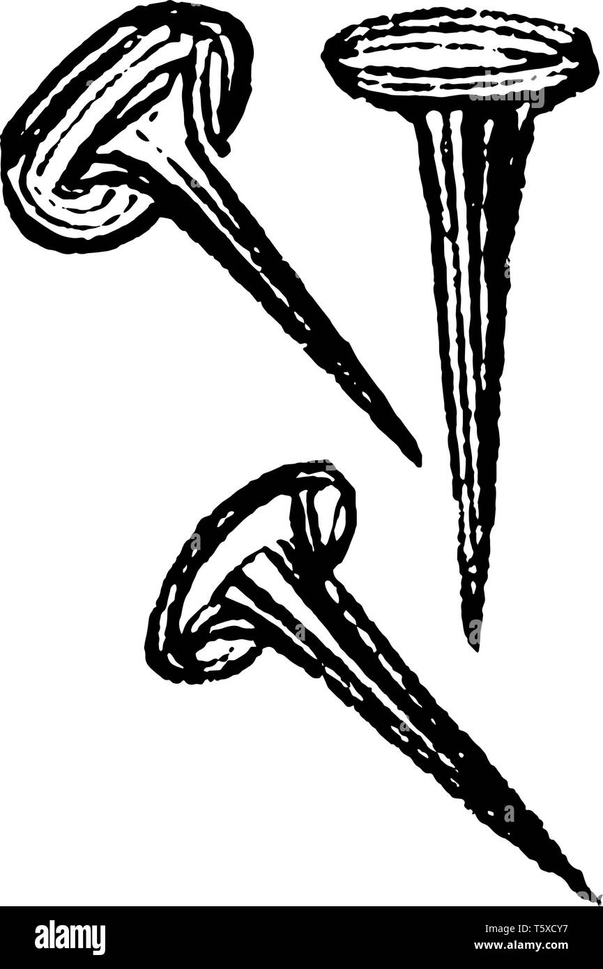This illustration represents Tacks which is a small sharp, vintage line ...