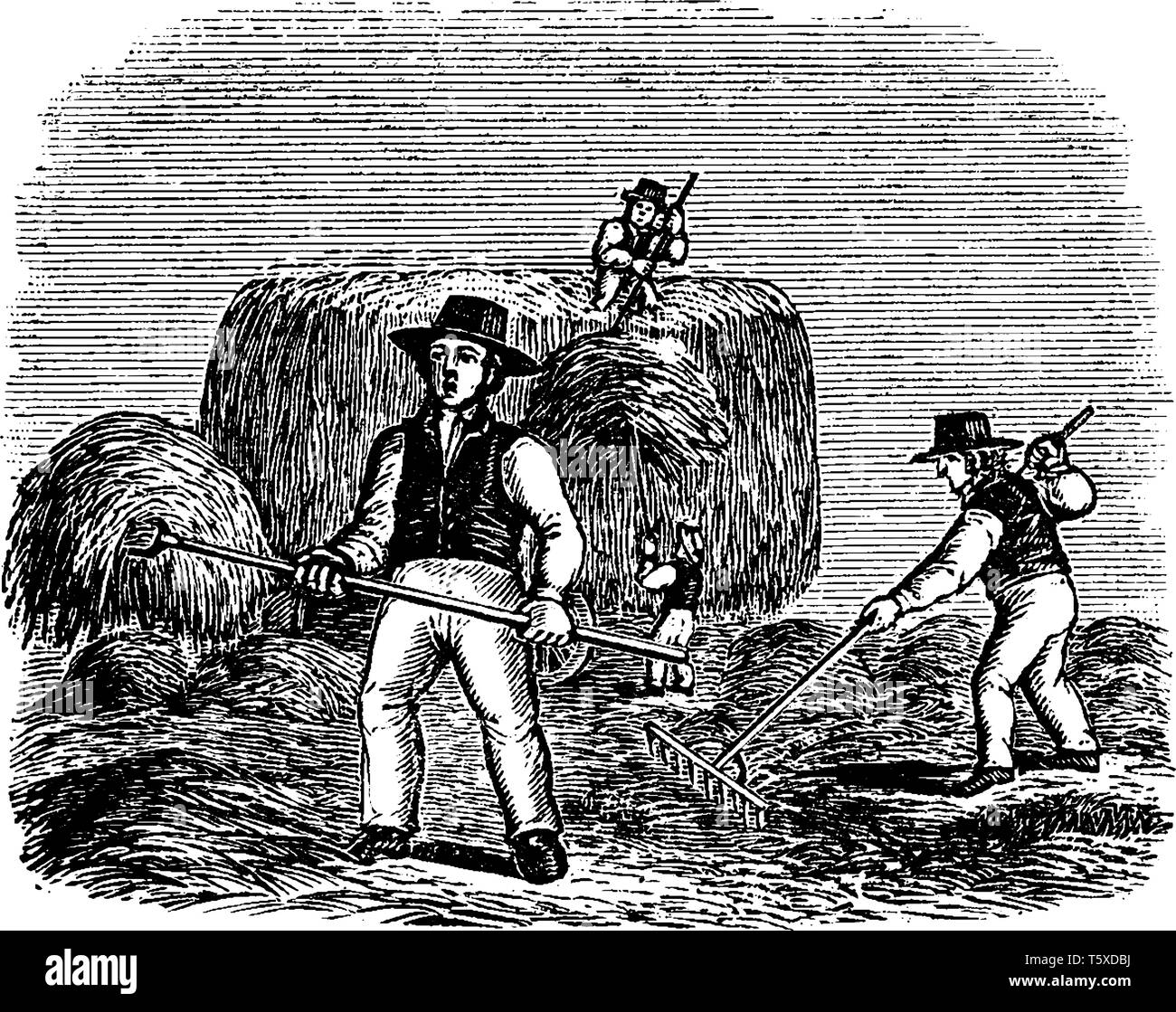 Three men making hay, vintage line drawing or engraving illustration ...