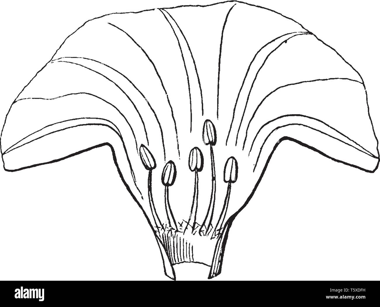 Bearing showing Black and White Stock Photos & Images - Alamy