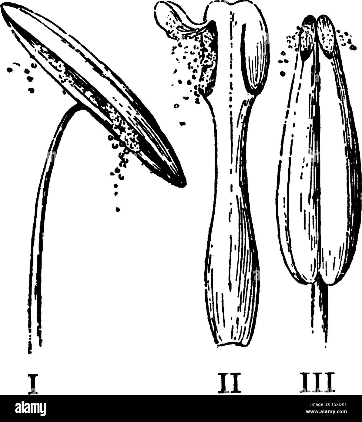 Vintage modes Stock Vector Images - Alamy