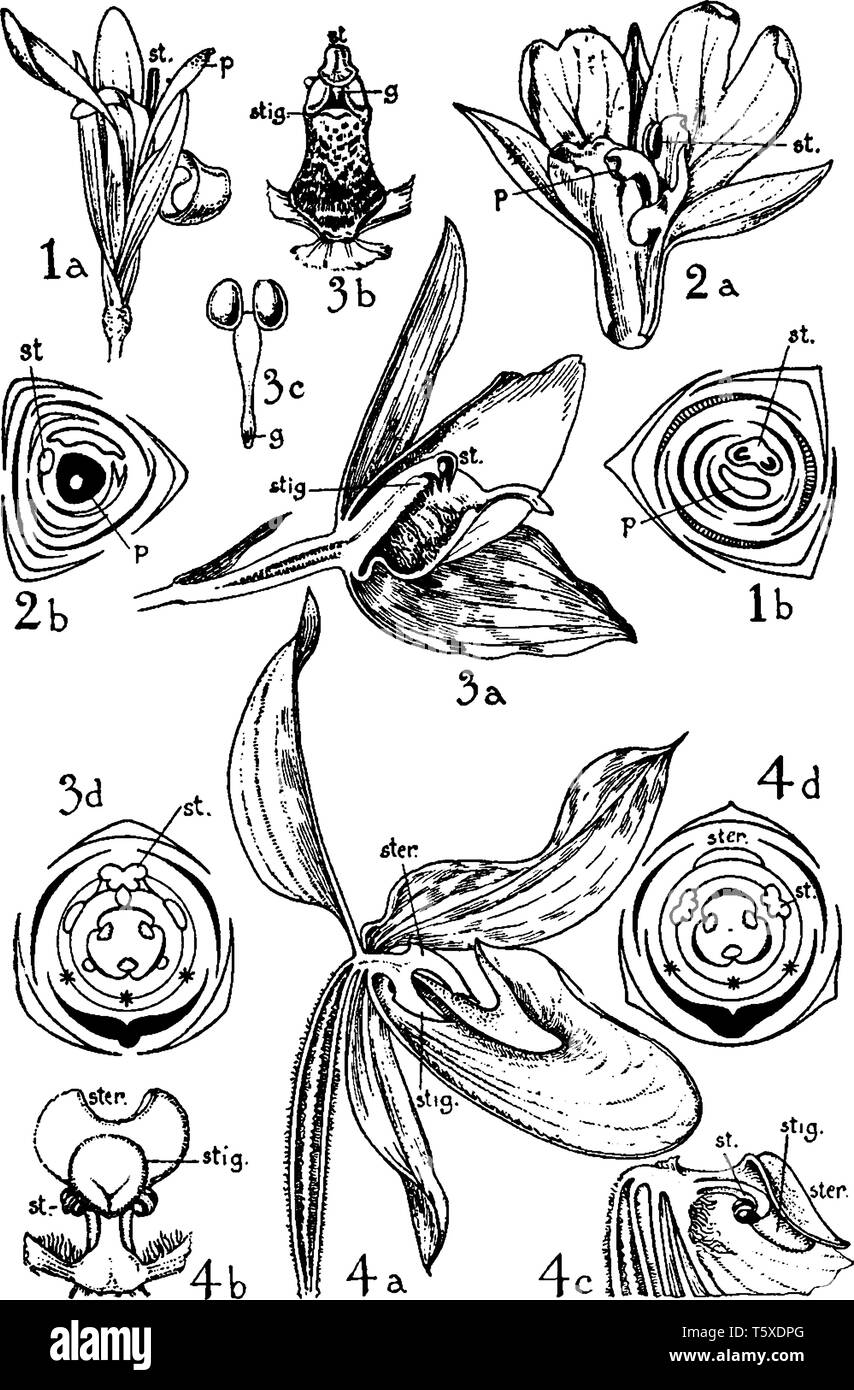 Which requests Black and White Stock Photos & Images - Alamy