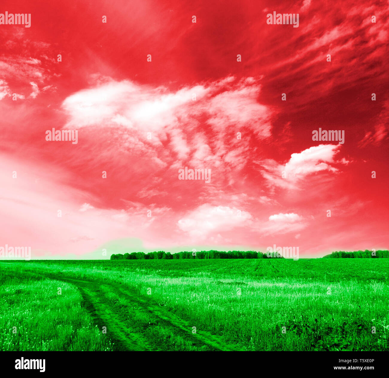 Red sky above green field. Fantasy landscape Stock Photo - Alamy