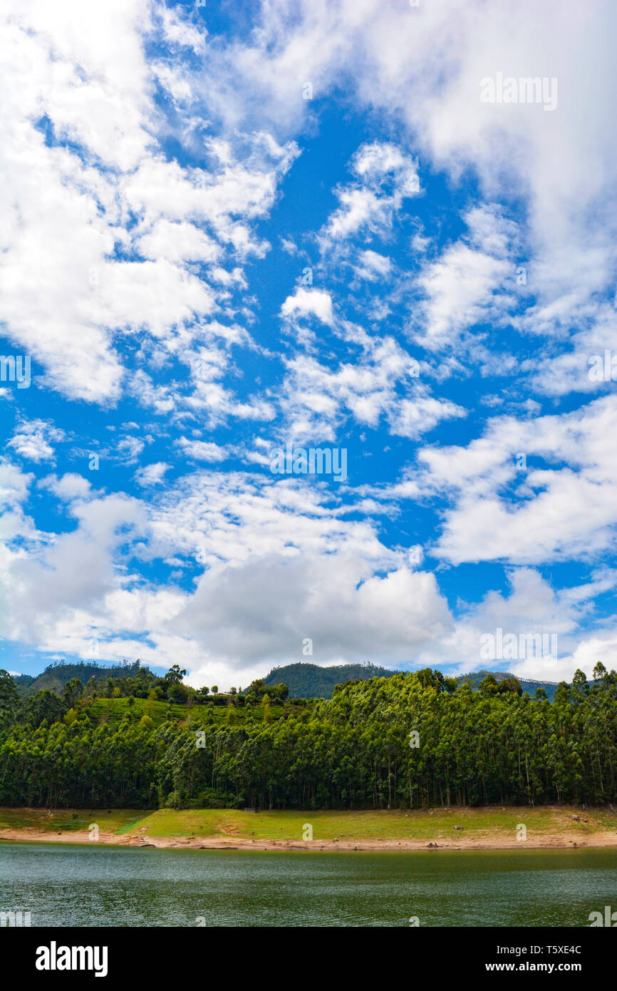 Lake landscape in summer Stock Photo - Alamy