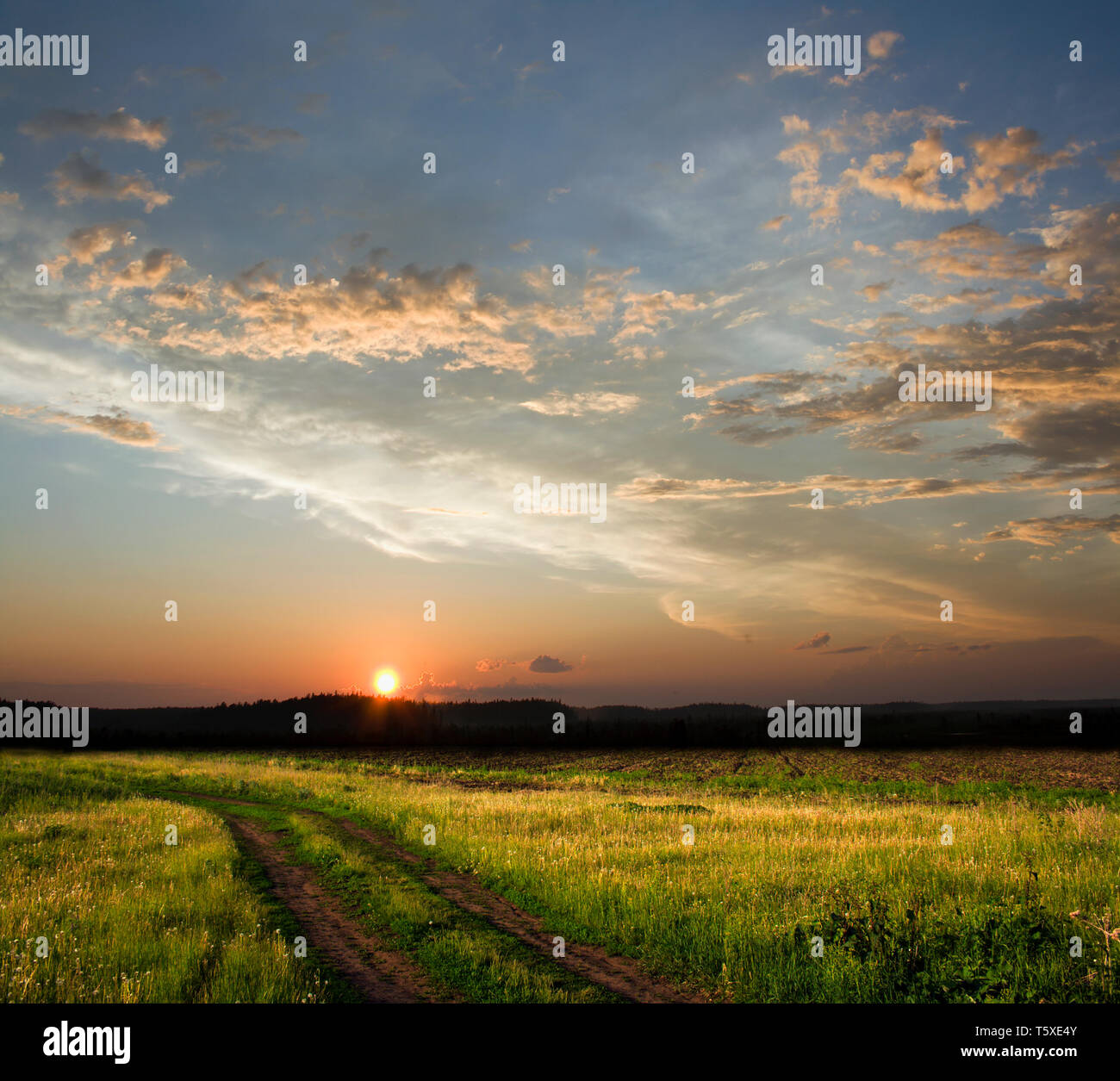 Beautiful sunset above rural lane. Square composition Stock Photo - Alamy