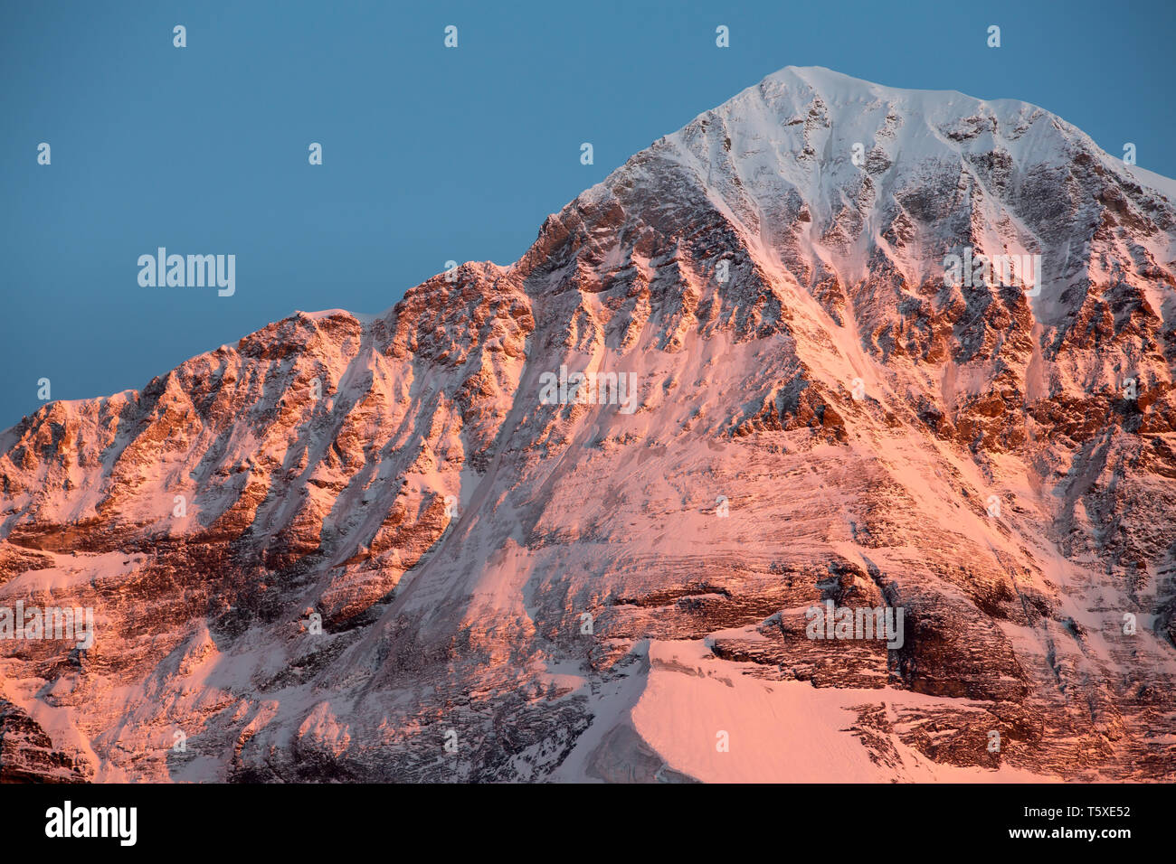 Alpenglow on The Monch (mountain) in winter. Kleine Scheidegg, Bernese ...