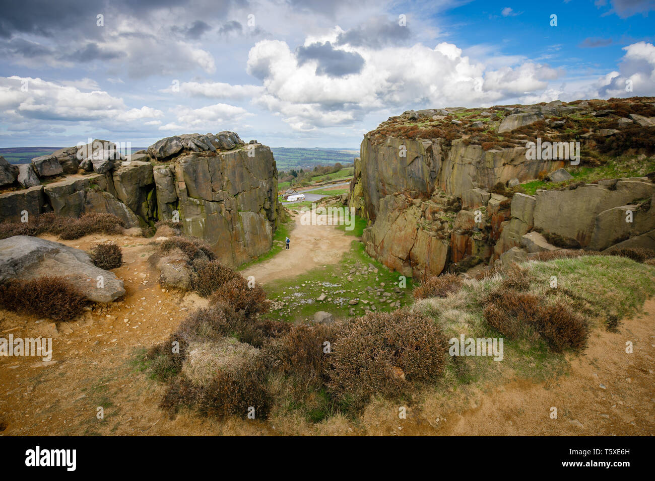 Cow And Calf Rocks