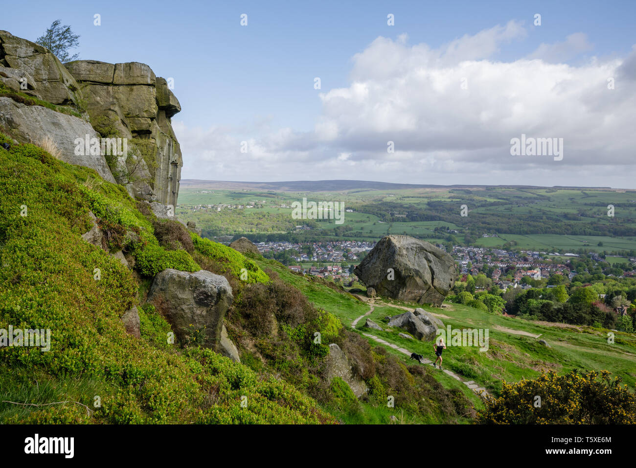 Cow and calf rocks on Ilkley Moor, West Yorkshire Stock Photo - Alamy