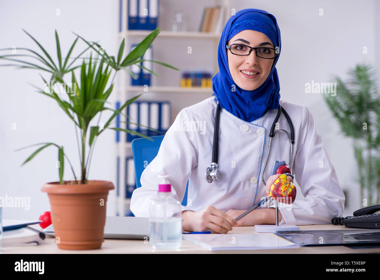 Arab female doctor working in the clinic Stock Photo - Alamy