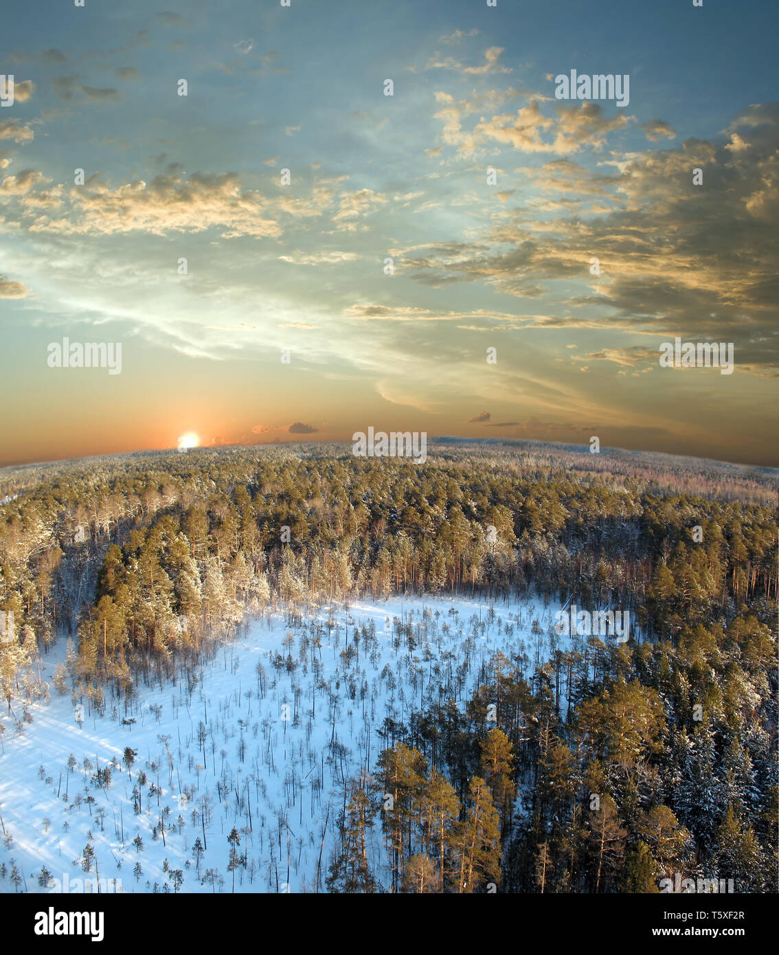 Taiga snow panoramic hi-res stock photography and images - Alamy