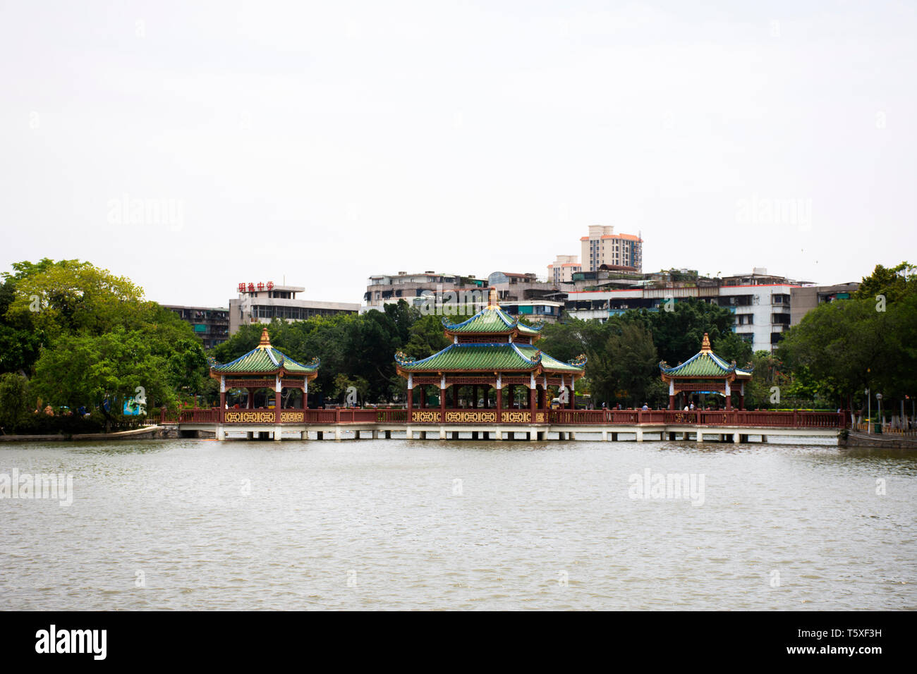 View landscape and water pond of garden at Zhongshan public park for ...