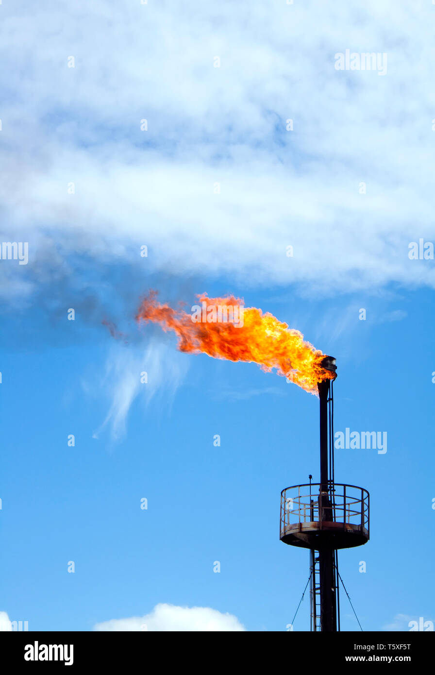 Gas station. Refinery plant. Oil industry. Flaming gas torch Stock ...