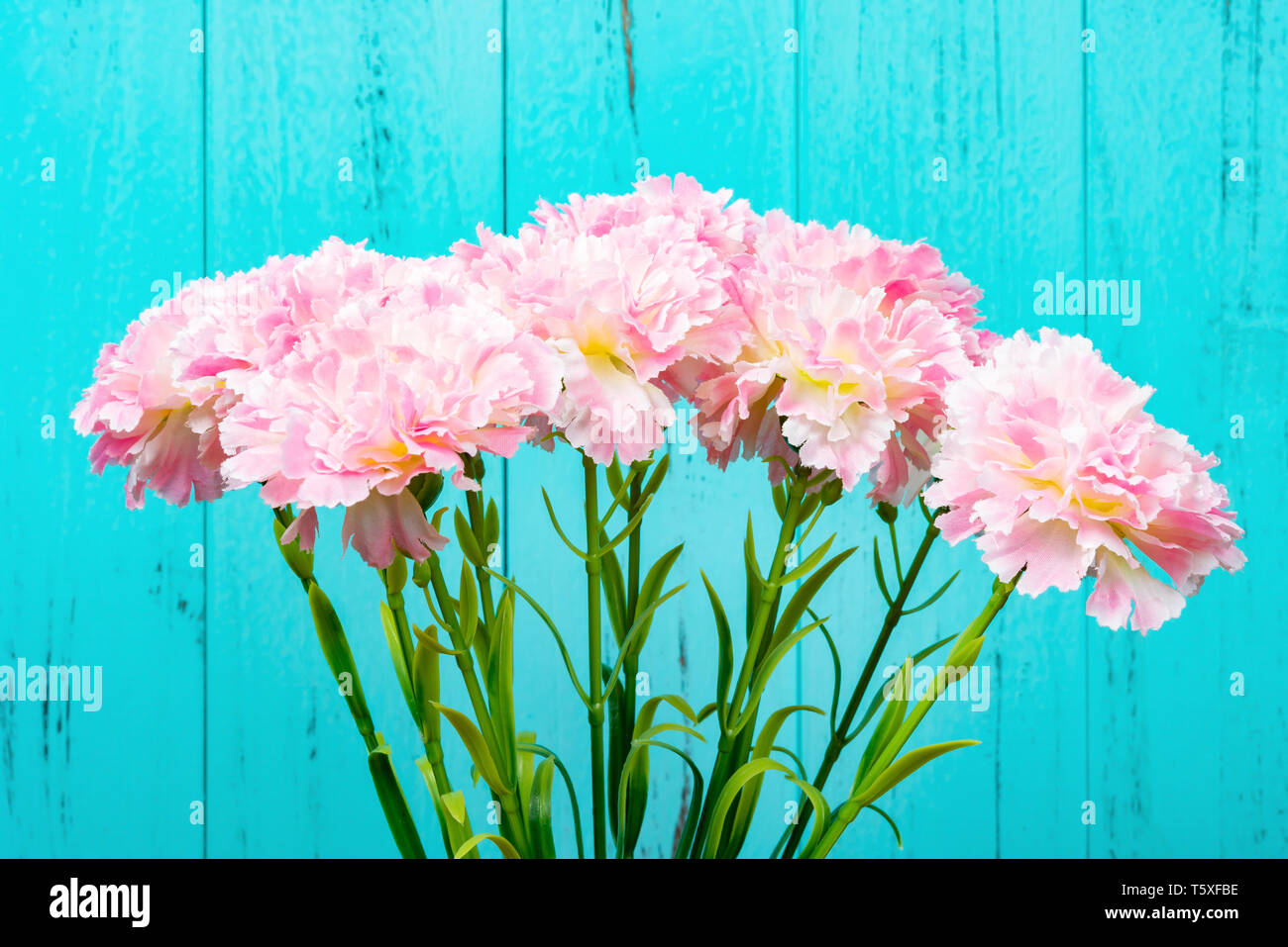 Posy of carnations hi-res stock photography and images - Alamy