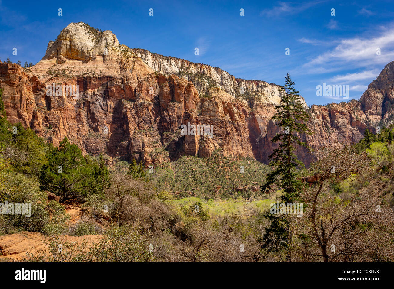 Zion National Park is a southwest Utah nature preserve distinguished by ...
