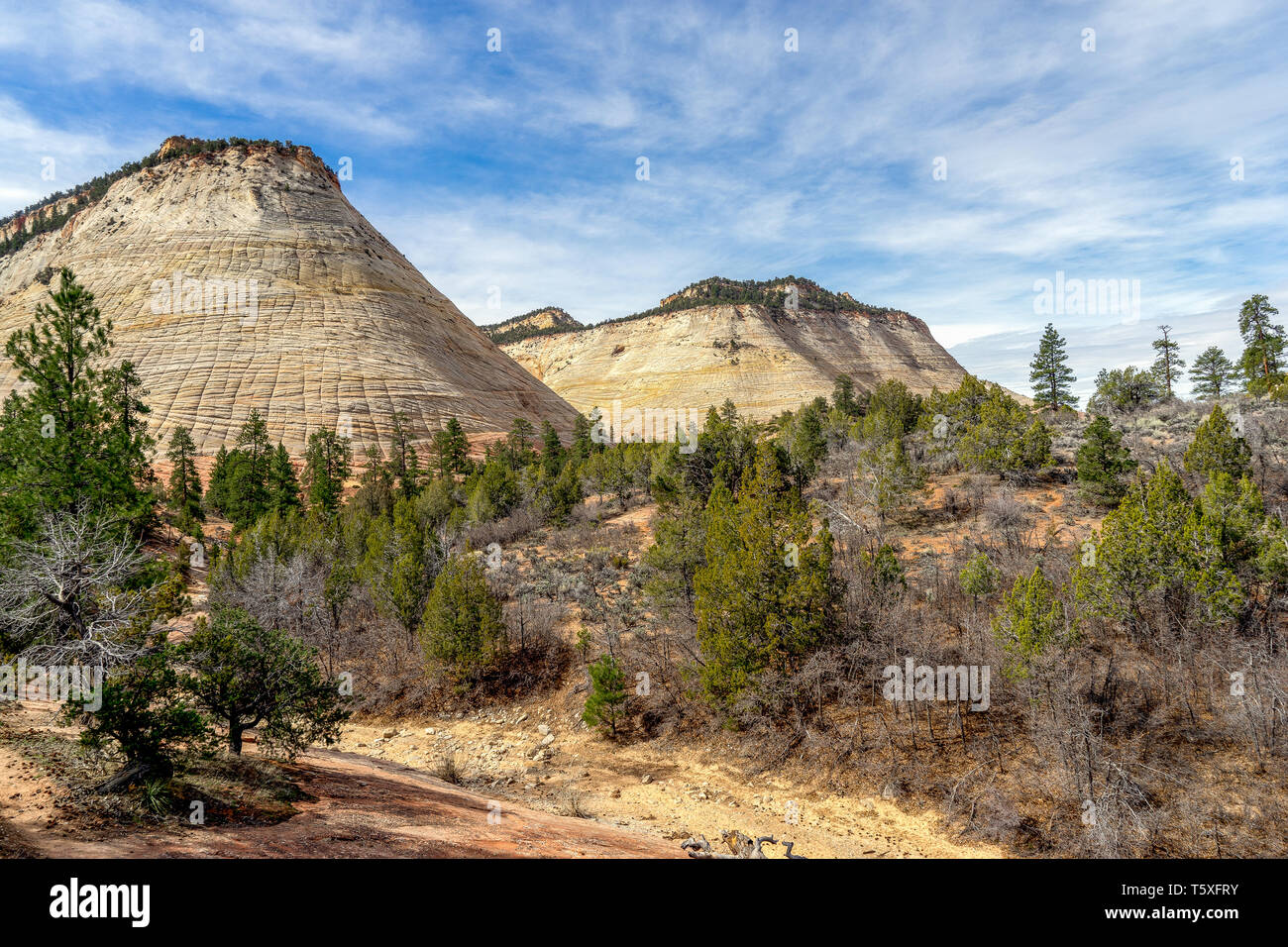 A formation in, Zion National Park, of a sandstone mesa that resembles ...