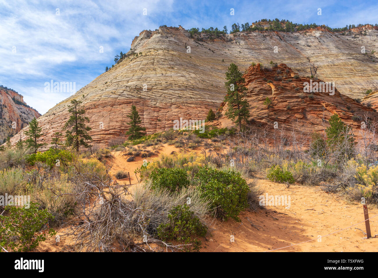 A formation in, Zion National Park, of a sandstone mesa that resembles ...