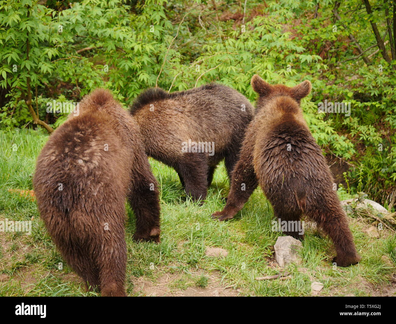 Three kids playing hi-res stock photography and images - Alamy