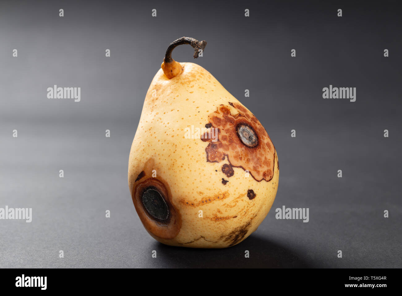 Spoiled pear hi-res stock photography and images - Alamy