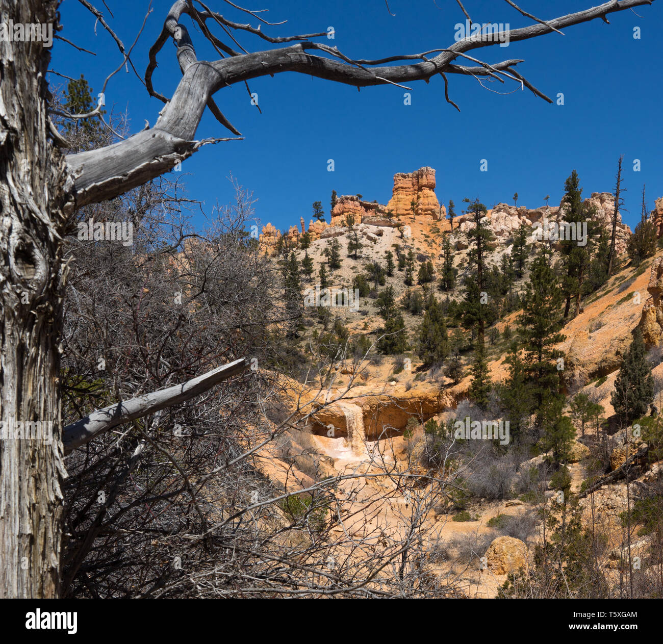 Bryce canyon park waterfall High Resolution Stock Photography and ...