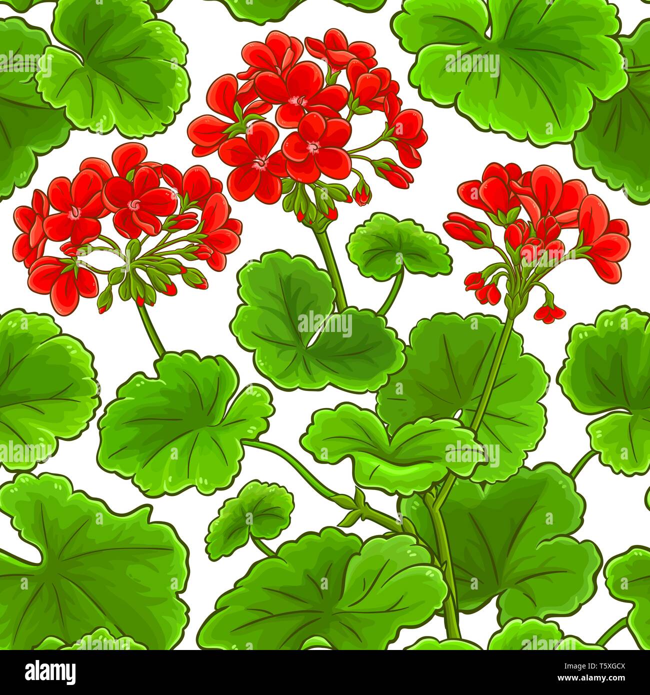 Geranium drawing Stock Vector Images - Alamy