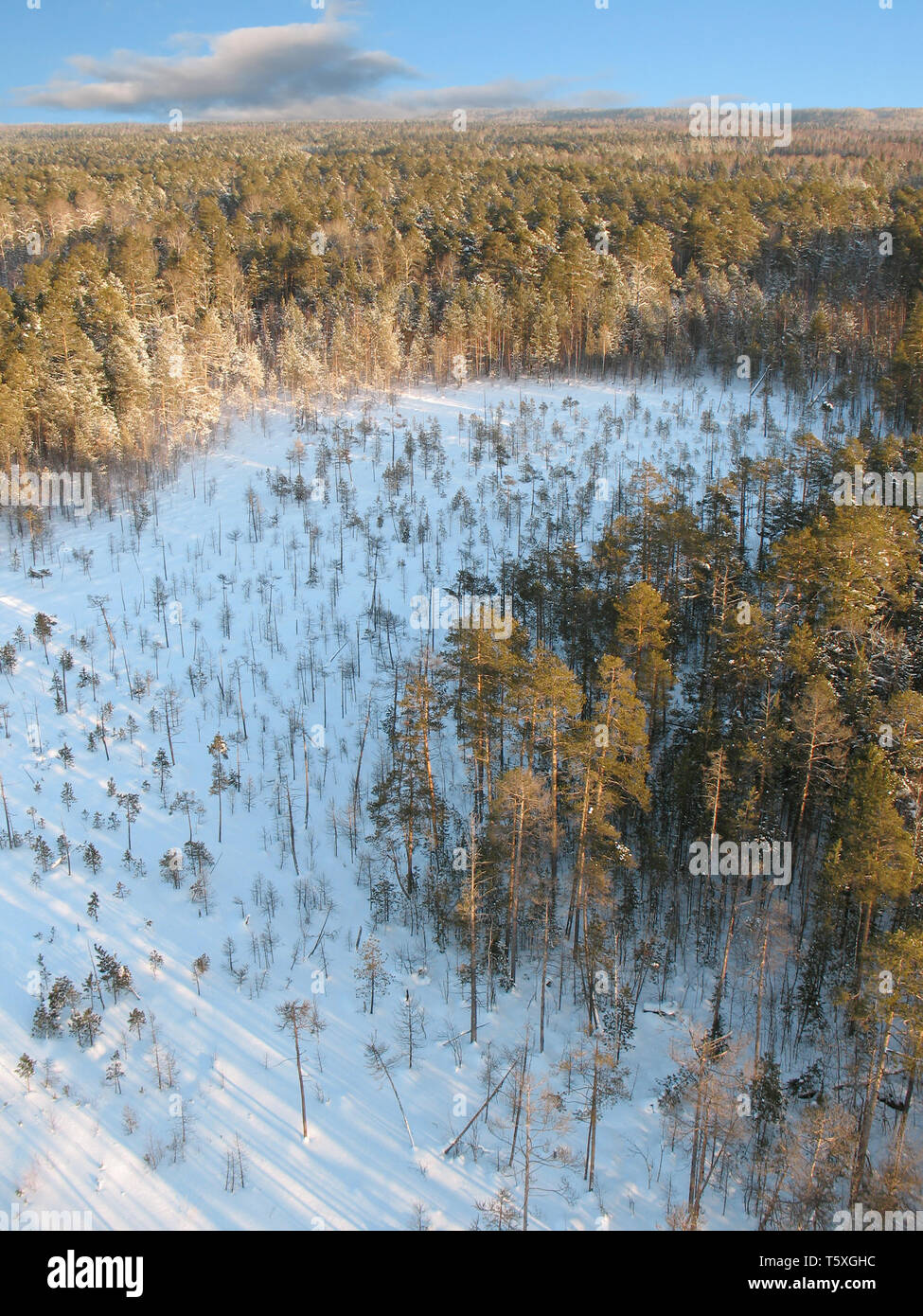 Siberia taiga aerial hi-res stock photography and images - Alamy