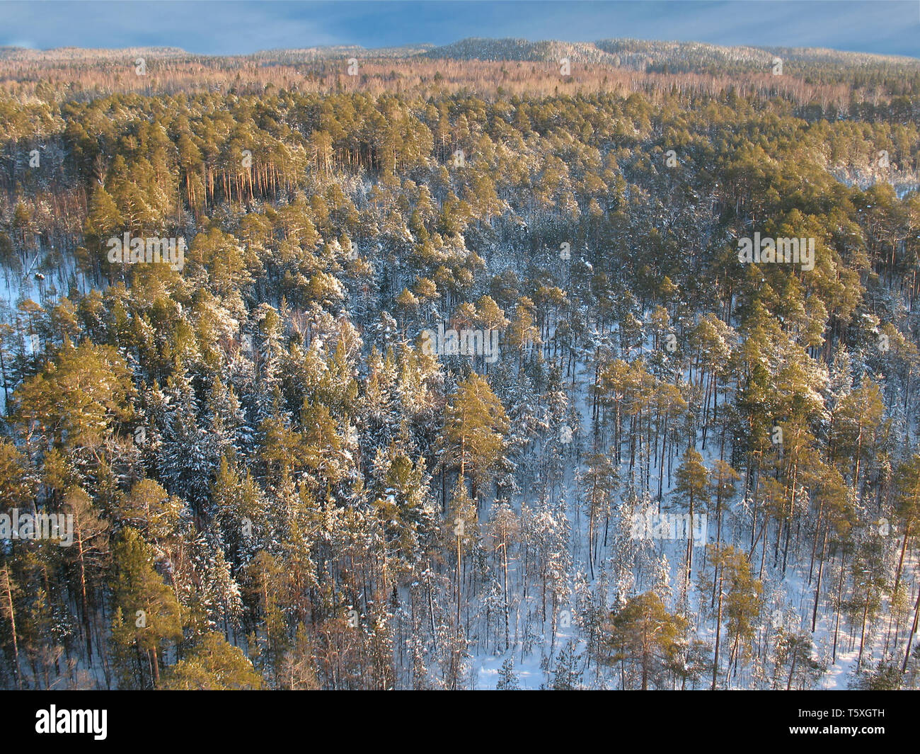 Taiga siberia aerial hi-res stock photography and images - Alamy
