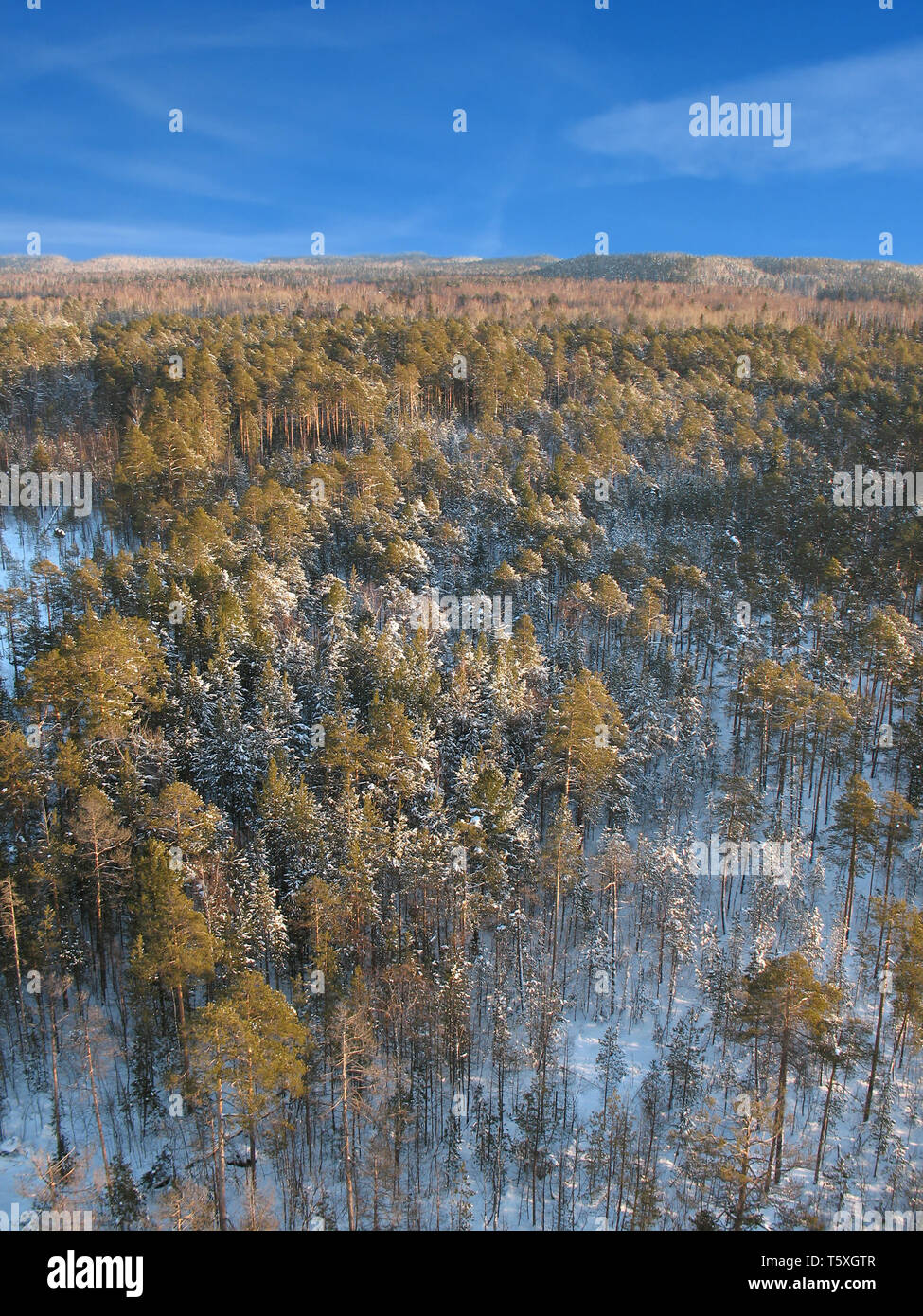 Taiga siberia aerial hi-res stock photography and images - Alamy