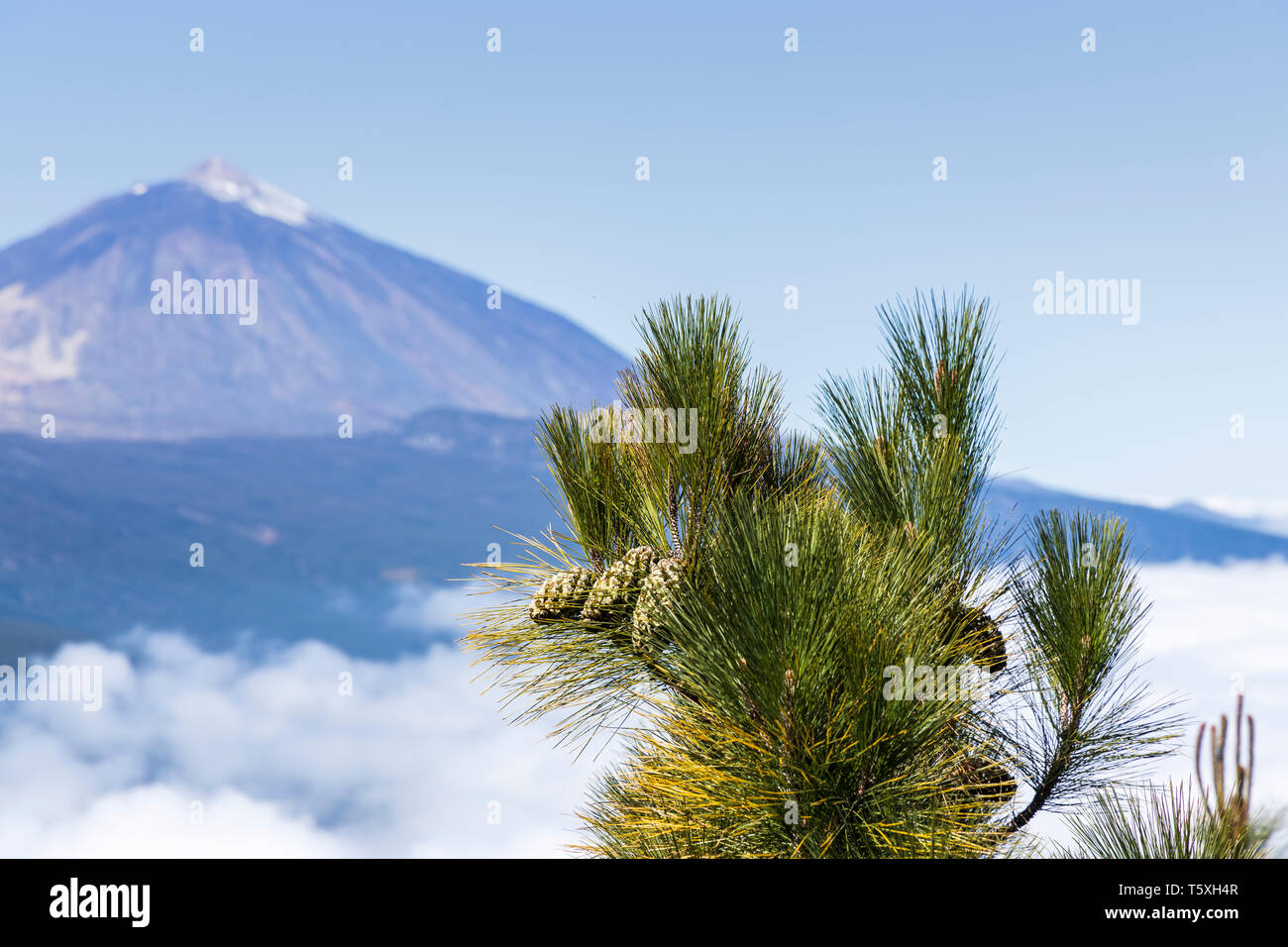 Inversion layer hi-res stock photography and images - Alamy