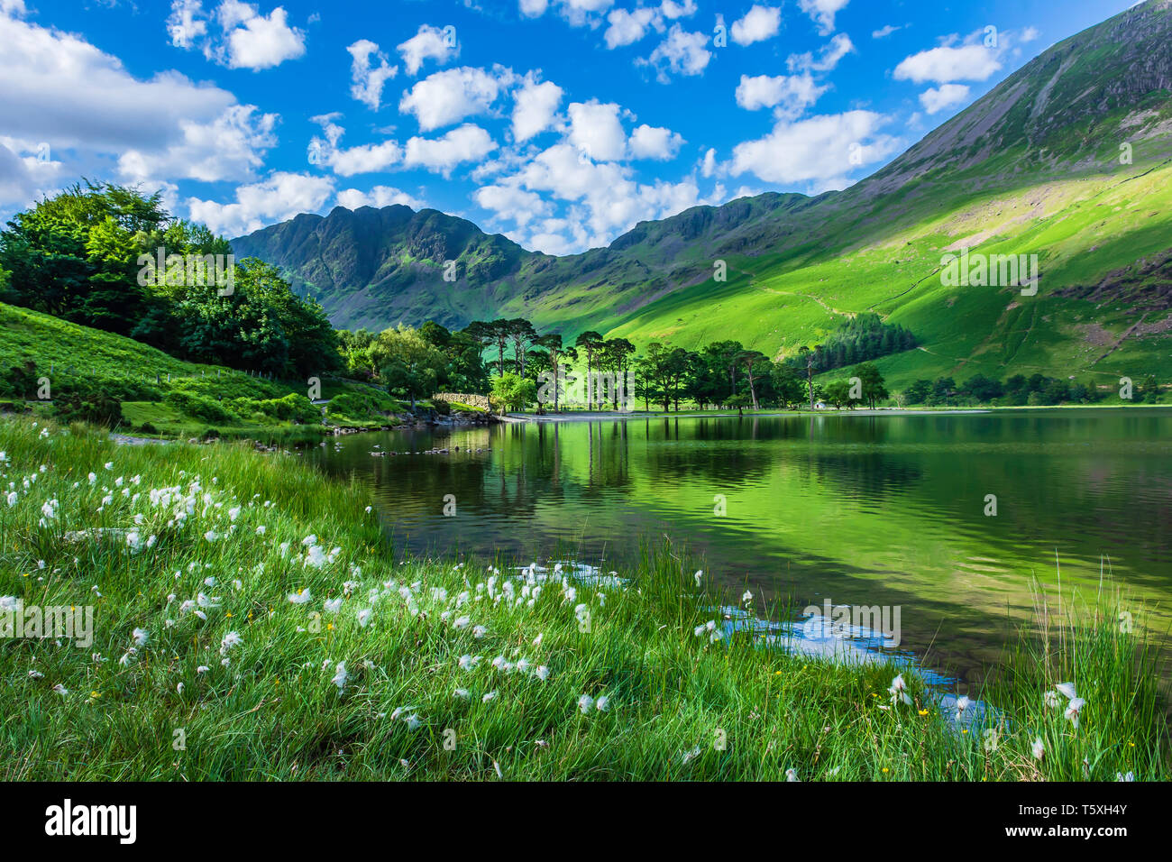 Idyllic scenery of English Lake District in springtime.Trees and grass ...