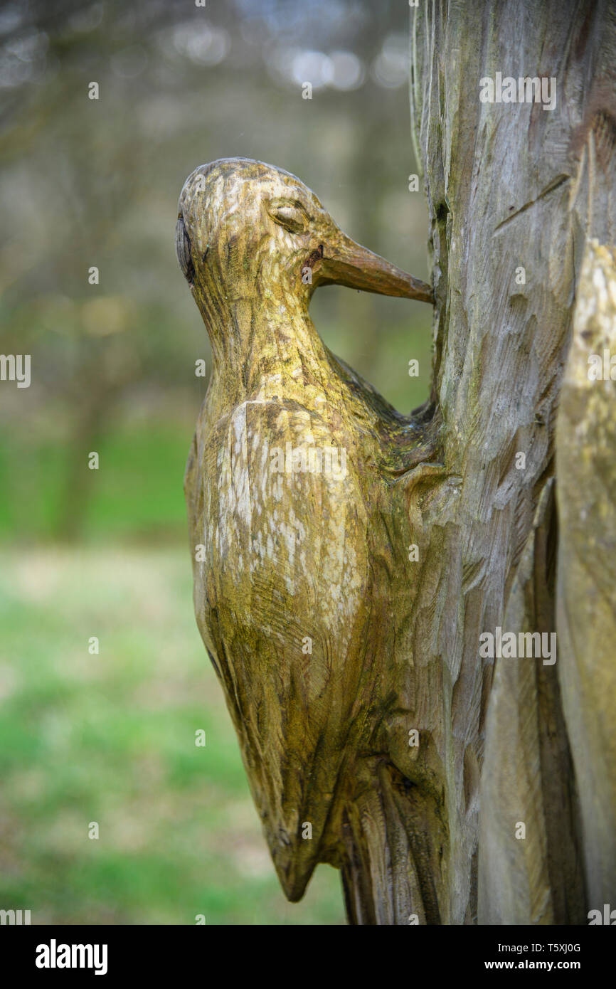 Tree trunk sculpture of local wildlife, Barclye Wood, Wood of Cree RSPB ...