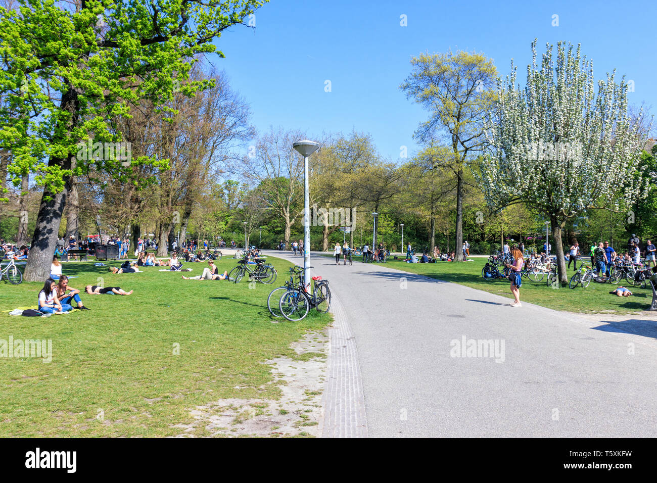 Vondelpark park amsterdam spring hi-res stock photography and images ...