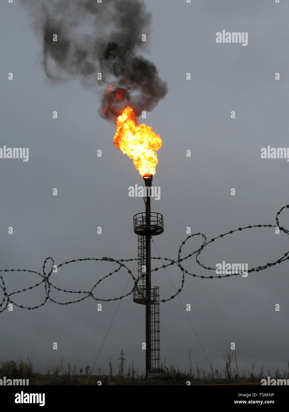 Torch in west Siberia. Oil Stock Photo - Alamy
