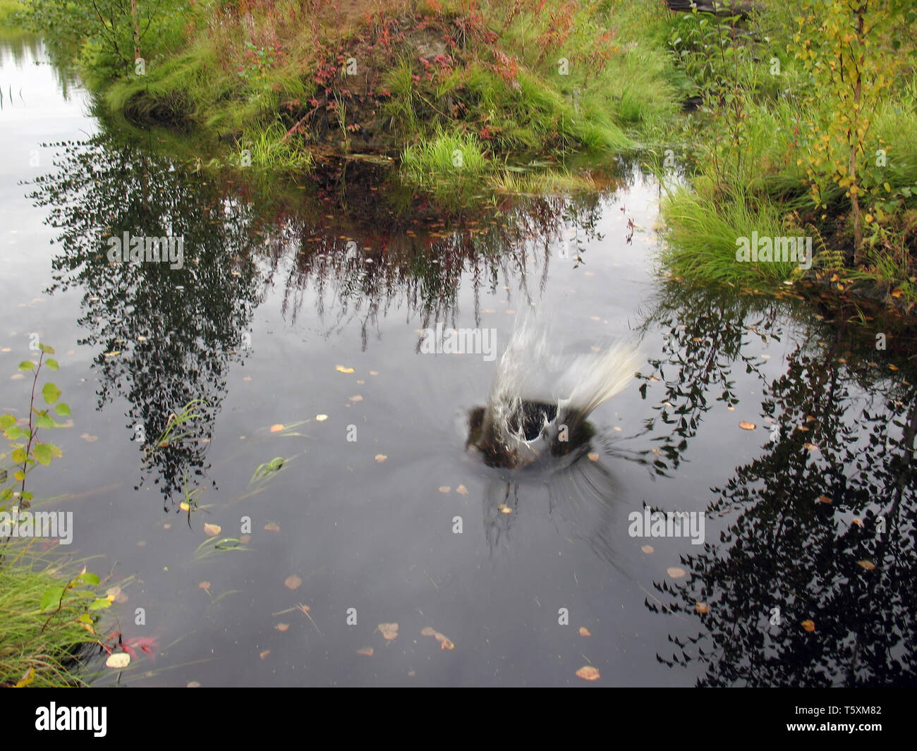 Splash on water in river Stock Photo - Alamy