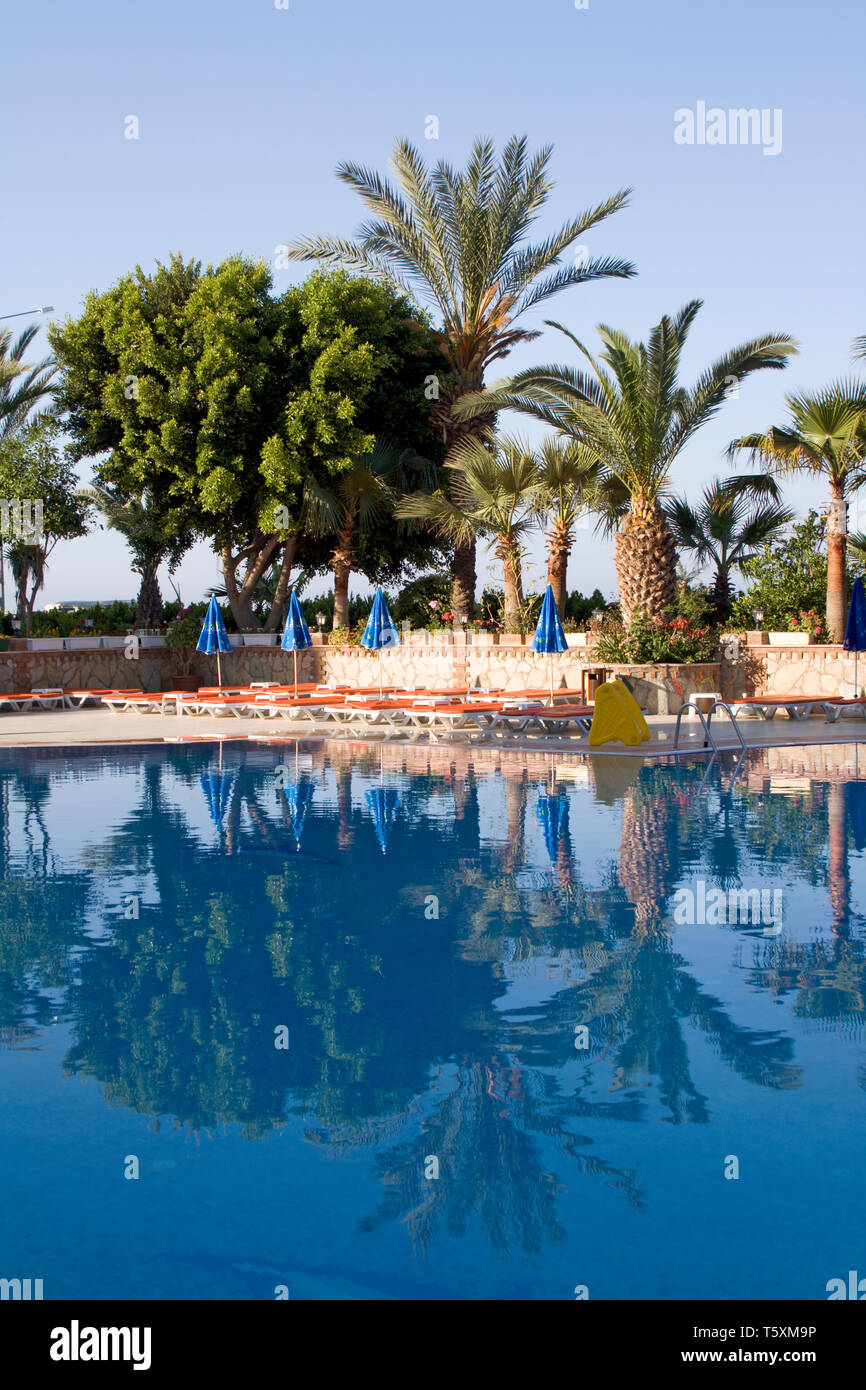 Palm trees near a wonderful pool Stock Photo - Alamy