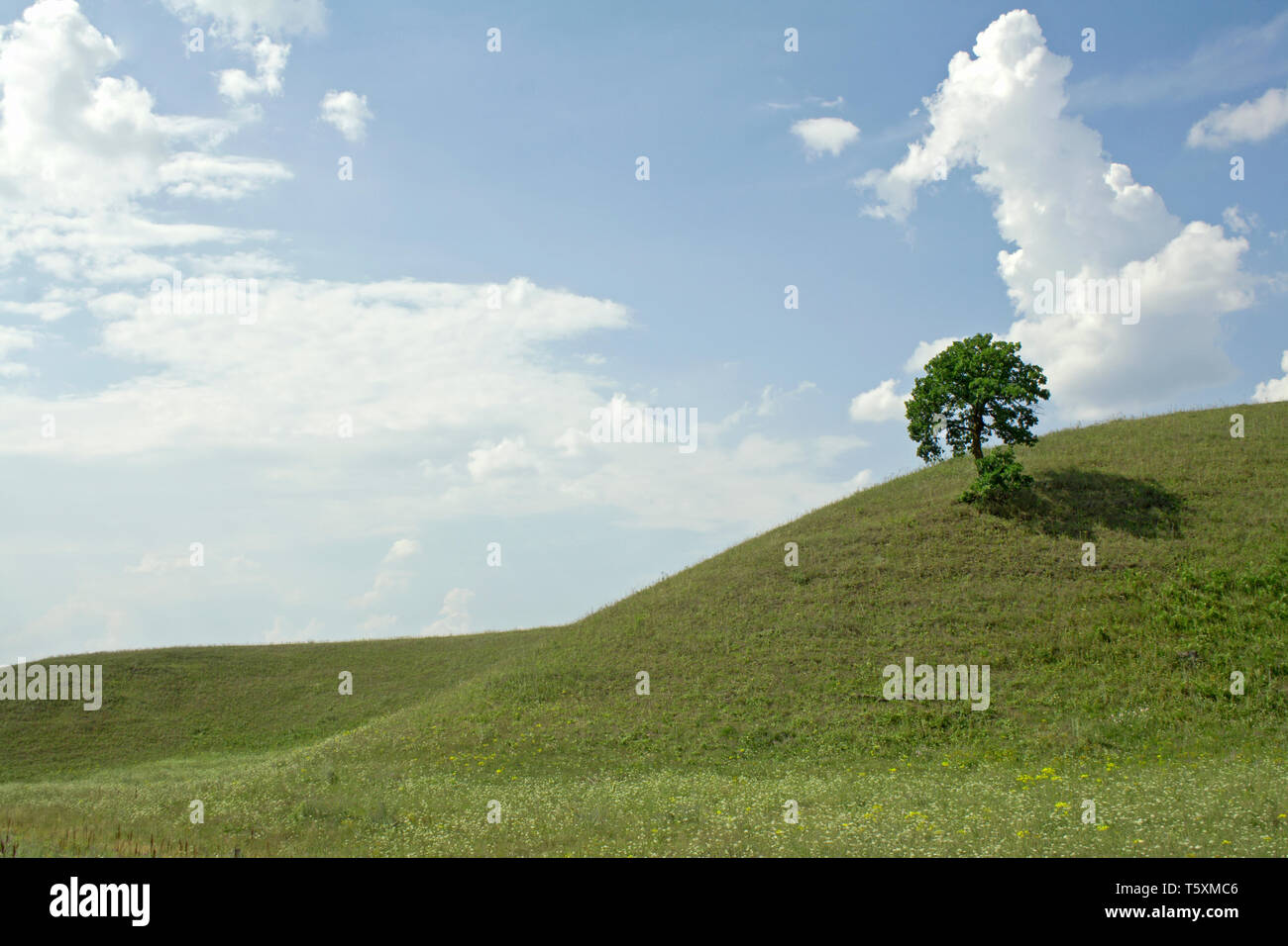 On a green slope hi-res stock photography and images - Alamy